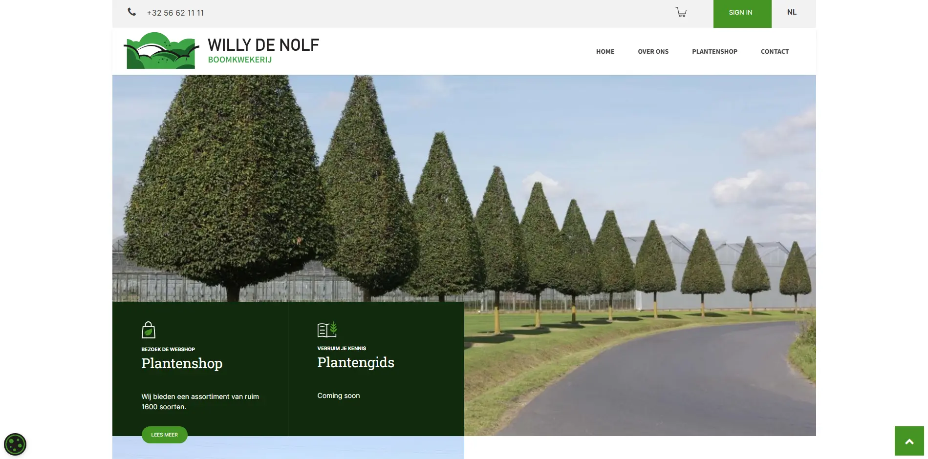 Boomkwekerij Willy De Nolf | 2mprove